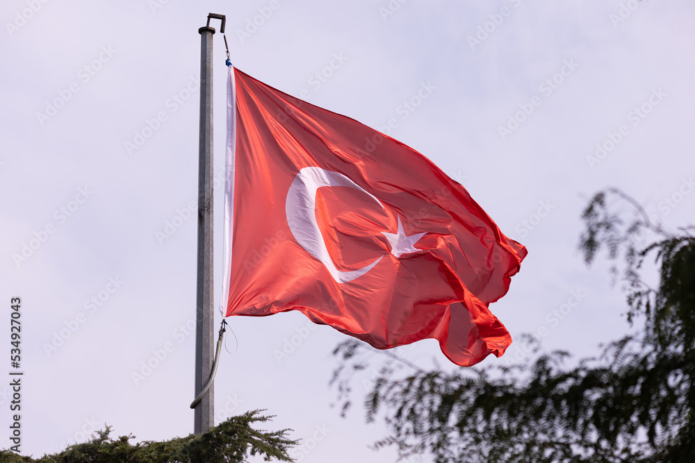 Turkish flag, on a red background white star and moon. Turkish flag ...