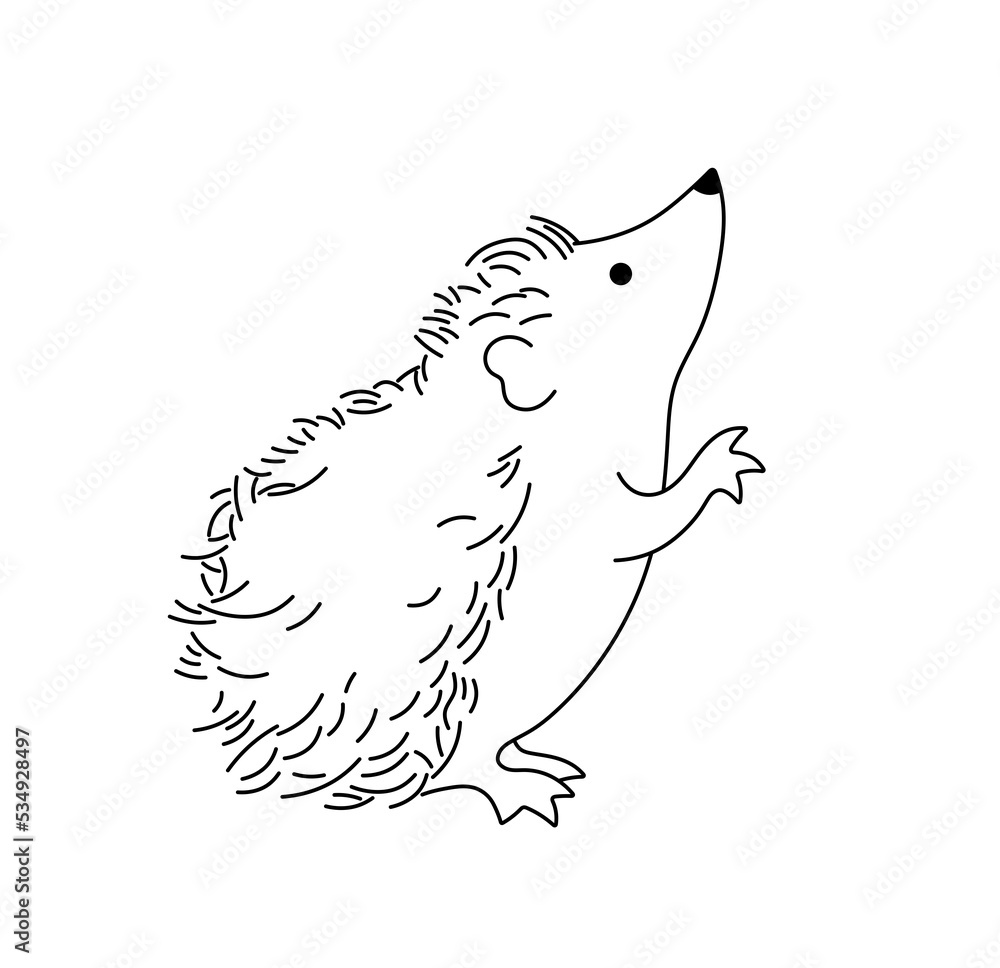 Vector isolated hedgehog standing on hind legs side view colorless ...