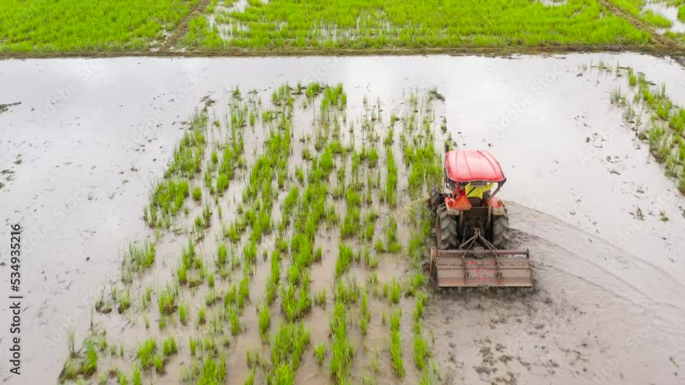 A farmer uses a tractor to prepare the soil for rice cultivation. Paddy ...
