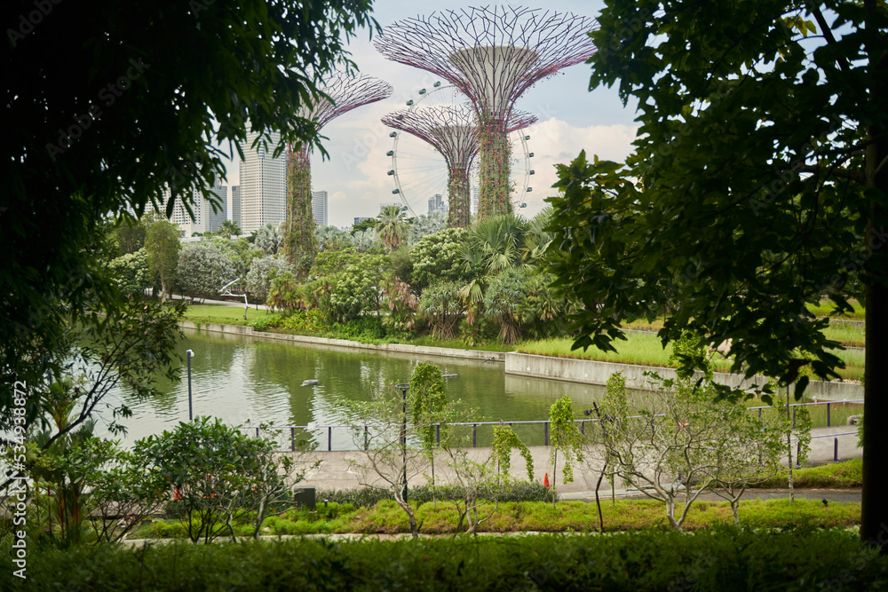 Beautiful natural view of Super tree park and water lake Singapore ...