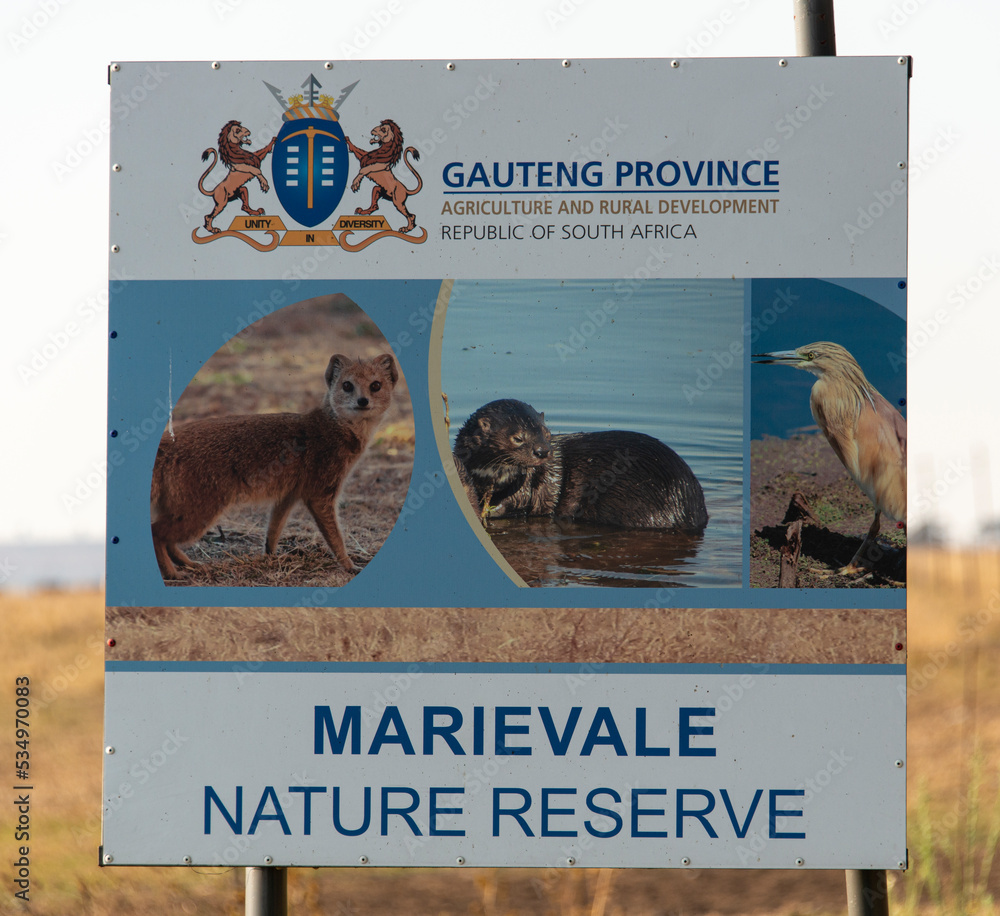 Marievale Bird Sanctuary, Nigel, Afrique du Sud Stock Photo | Adobe Stock