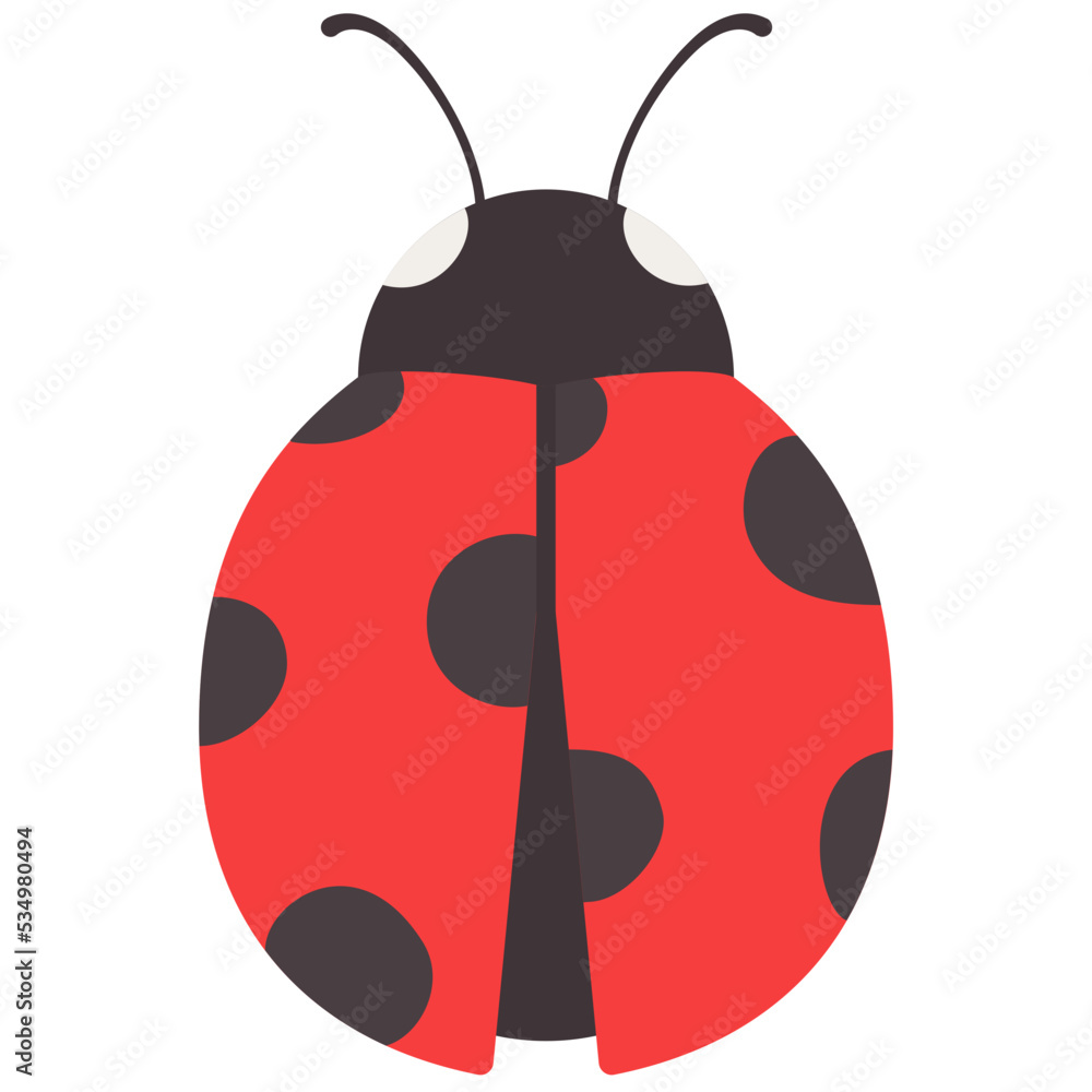 Fly Stock Vector | Adobe Stock