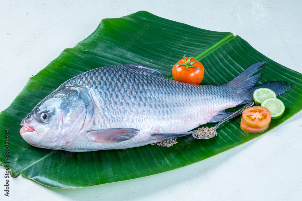 Catla Katla fish Bangladesh fresh water fish on banana leaf isolated on ...