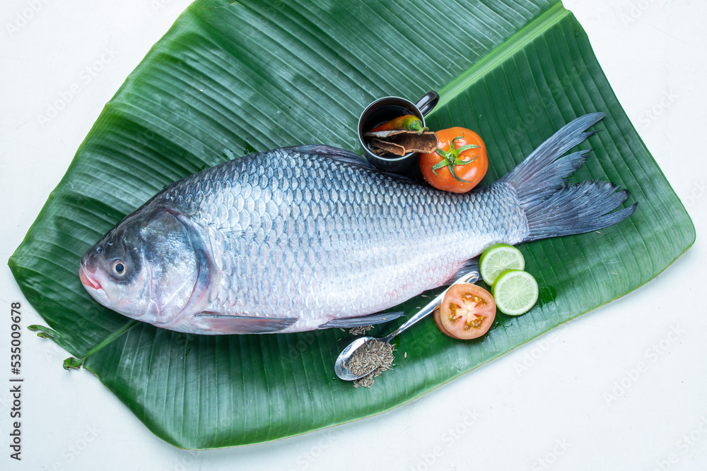 Catla Katla fish Bangladesh fresh water fish on banana leaf isolated on ...