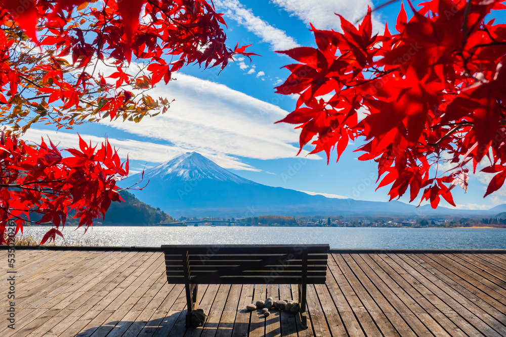 Nature Japan. Lake Kawaguchiko. Bench overlooking Mount Fuji. Red maple ...