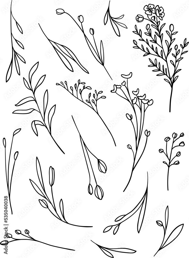 Floral decorative elements set. Botanical set outline on gray ...