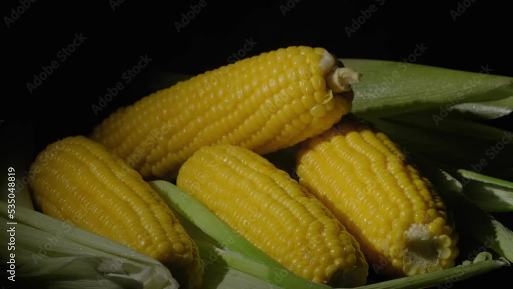 Boiled corn close-up rotating. Many ripe hot corn in the cob are spin ...