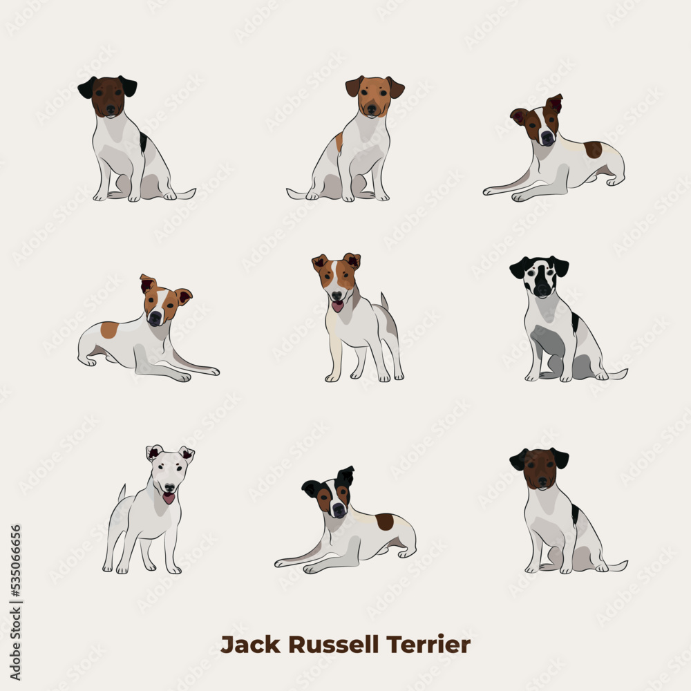 Jack Russell terrier breed, dog pedigree drawing. Cute dog characters ...