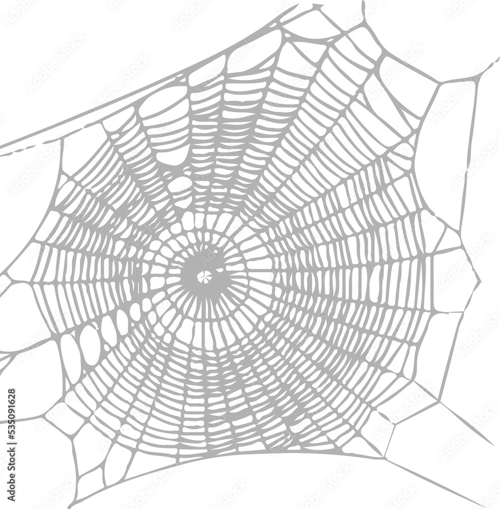 Illustrated Spider Web Stock Illustration | Adobe Stock