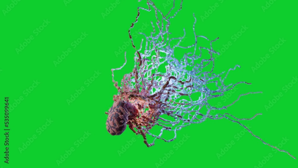 Peritrichous Bacteria with lot of flagellum, harmful bacteria with long ...