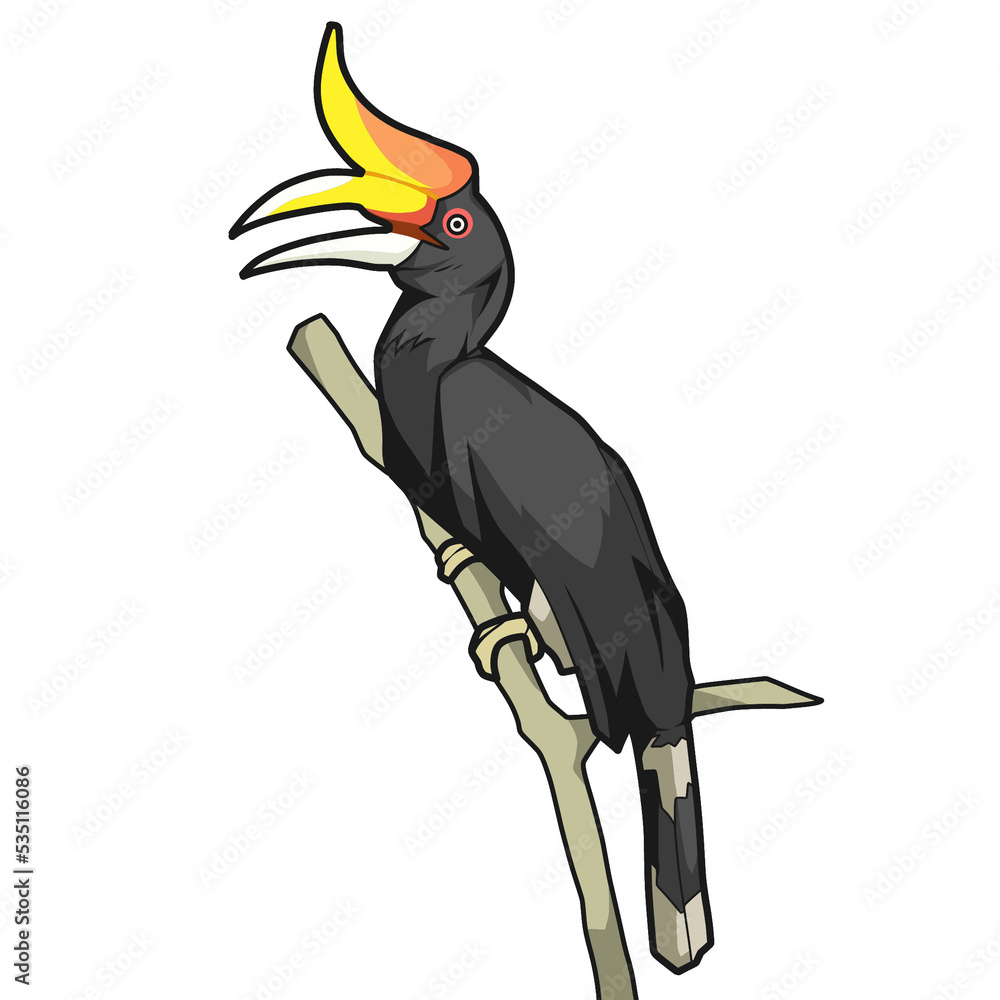 Rhinocerus Hornbill (Enggang Badak) - bird on a branch Stock ...
