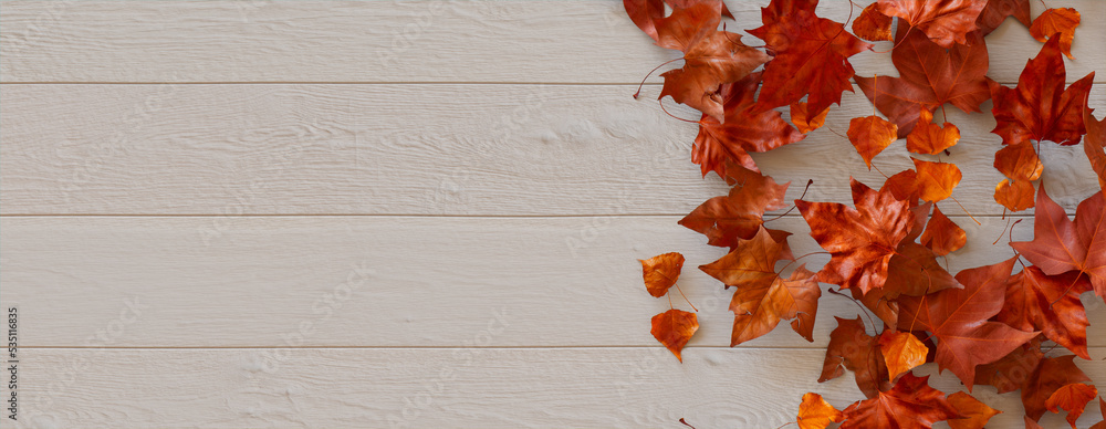 Top down view of White wood Tabletop with leaves. Stock Illustration ...