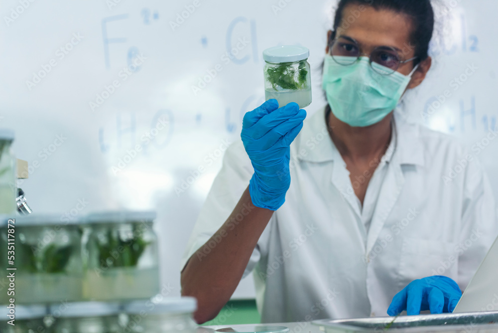 Biochemistry asian Scientist men working plants tissue culture ...