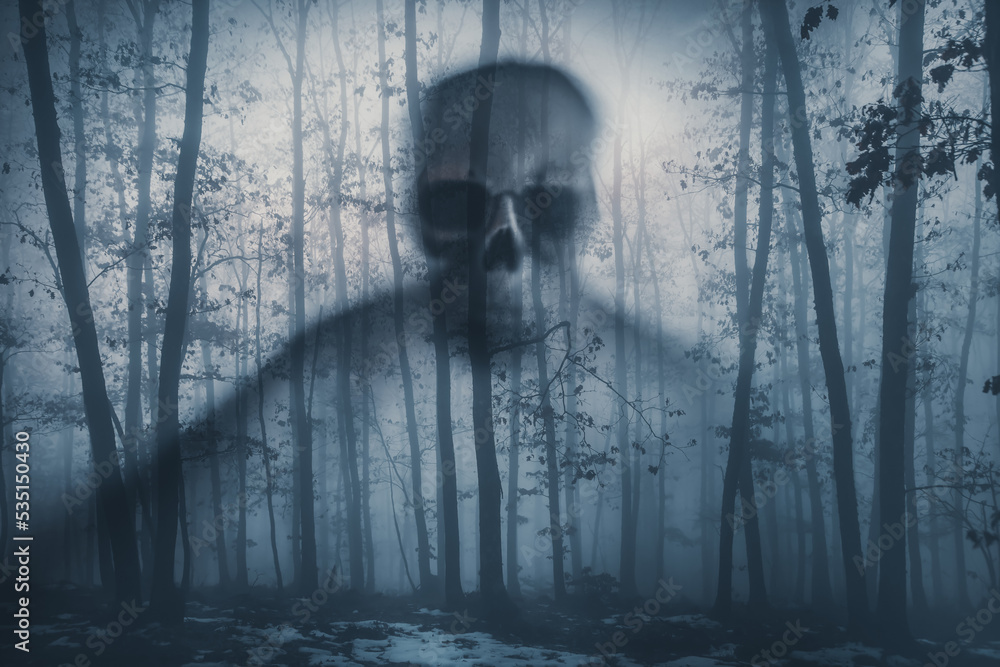 A dark ghostly figure moving through a misty forest in the evening ...