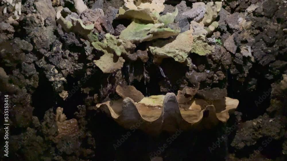 Shot of a water feature inside a manmade cave pooling onto a clam ...