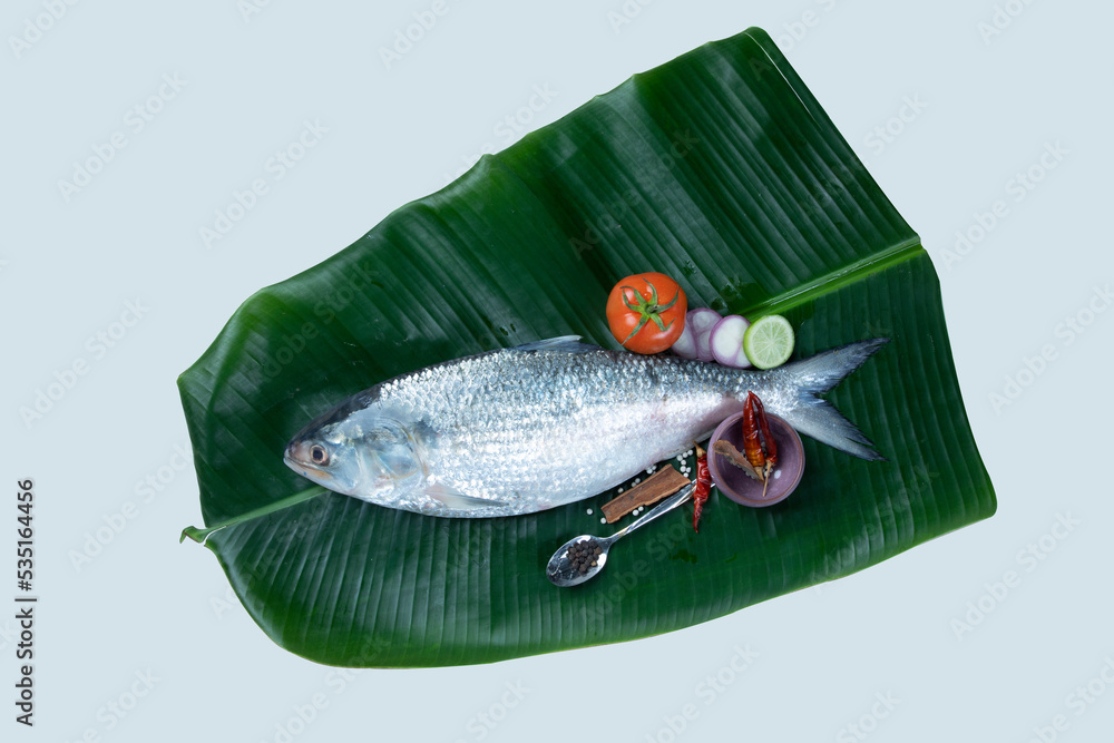 Boishakh panta ilish National fish of Bangladesh Hilsafish ilisha ...
