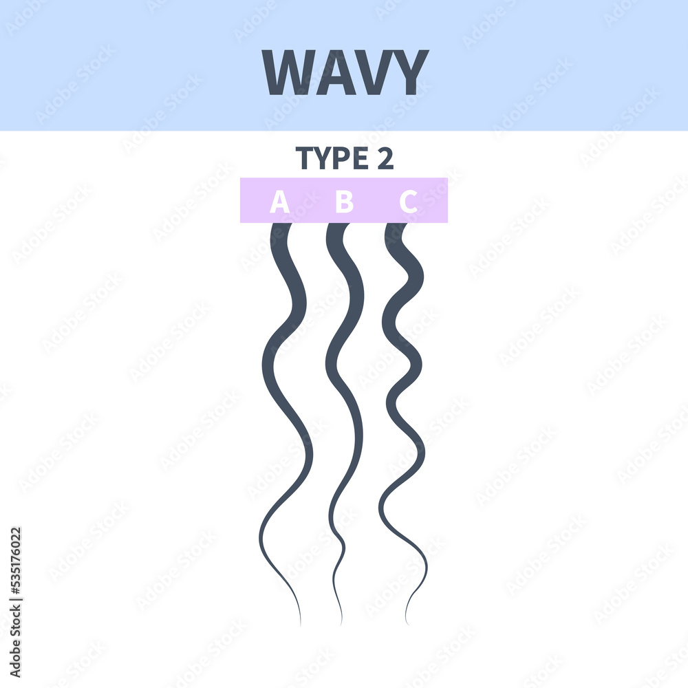 Wavy hair type classification system set. Detailed human hair growth ...