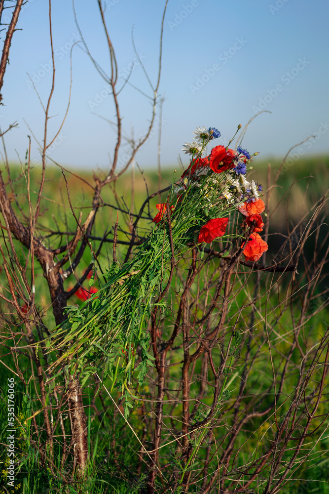 Bouquet of poppies as a symbol of Veteran Day, Remembrance Day, Poppy ...