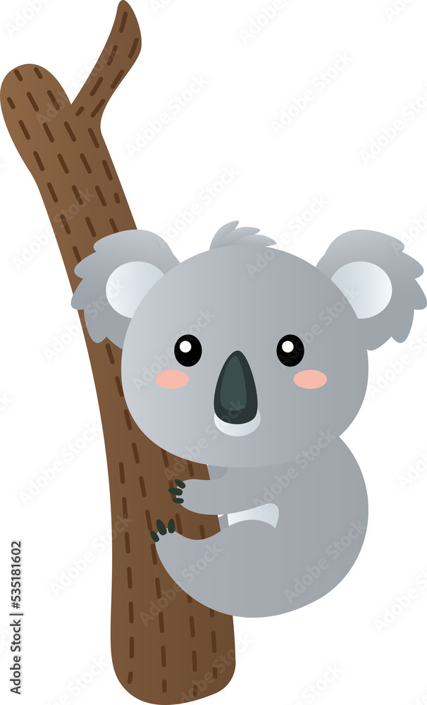 Australian animal koala cartoon illustration isolated object Stock ...