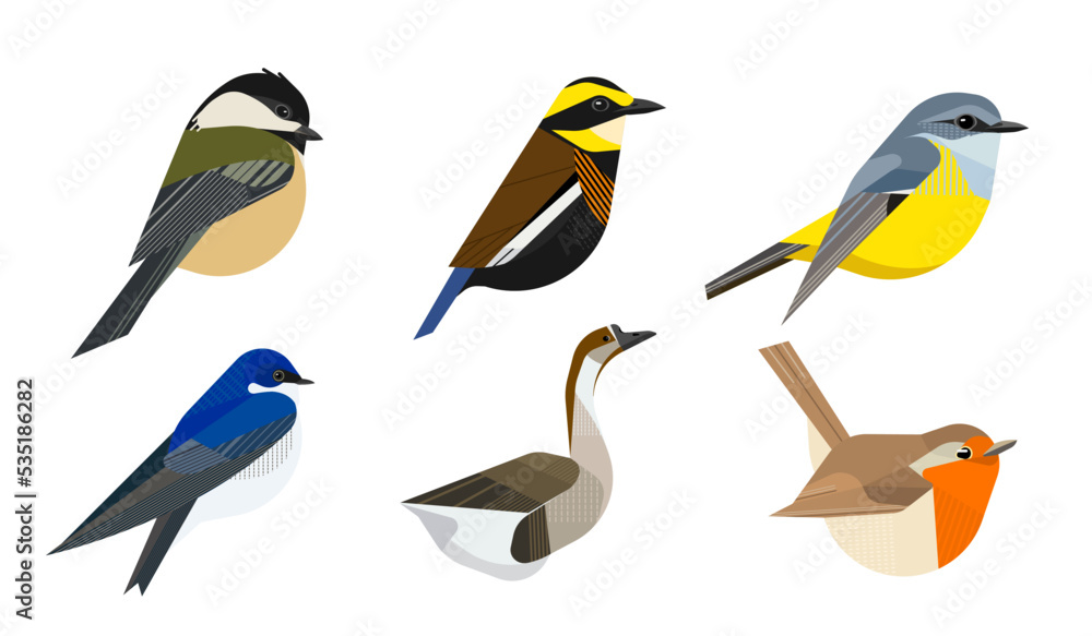 set of birds European robin , Malayan Banded Pitta , Eastern yellow ...