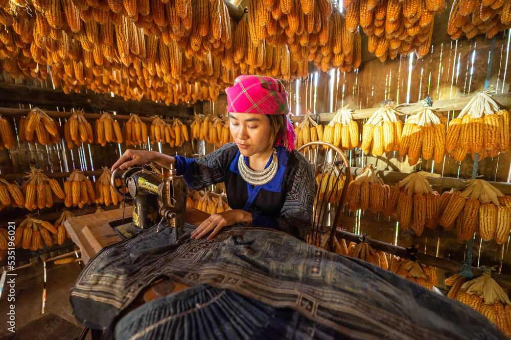 Hmong minority people working and smiling with labor achievements ...