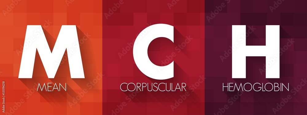 MCH Mean Corpuscular Hemoglobin - measure of the average amount of ...