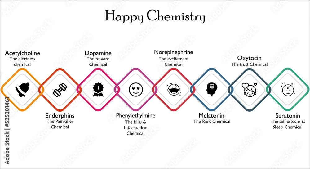 Types Of Happy Chemistry and it's details with icons in an infographic ...