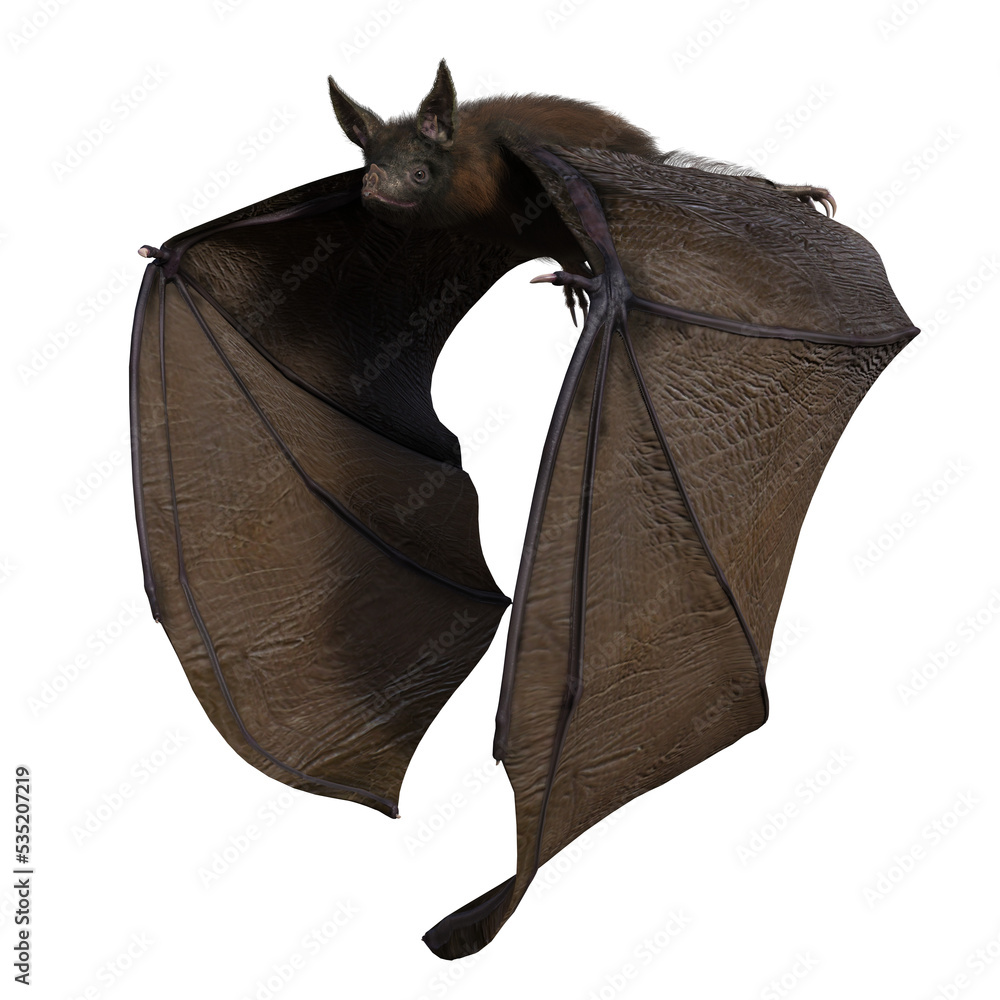 Halloween Vampire Bat on PNG Transparent Background Stock Illustration ...