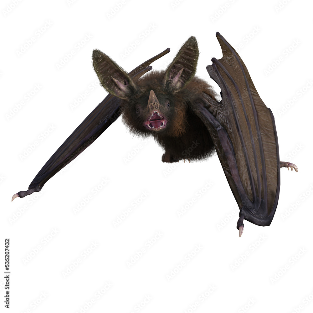 Halloween Vampire Bat on PNG Transparent Background Stock Illustration ...