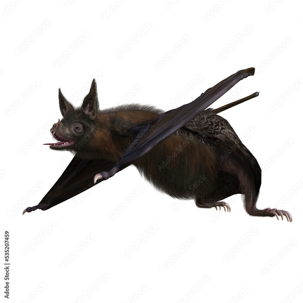 Halloween Vampire Bat on PNG Transparent Background Stock Illustration ...