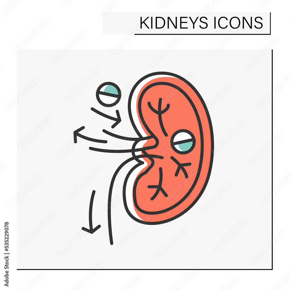 Kidney color icon. Kidney filter excess fluid and waste products out of ...