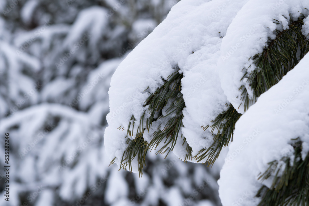 High Quality Images Of Snow
