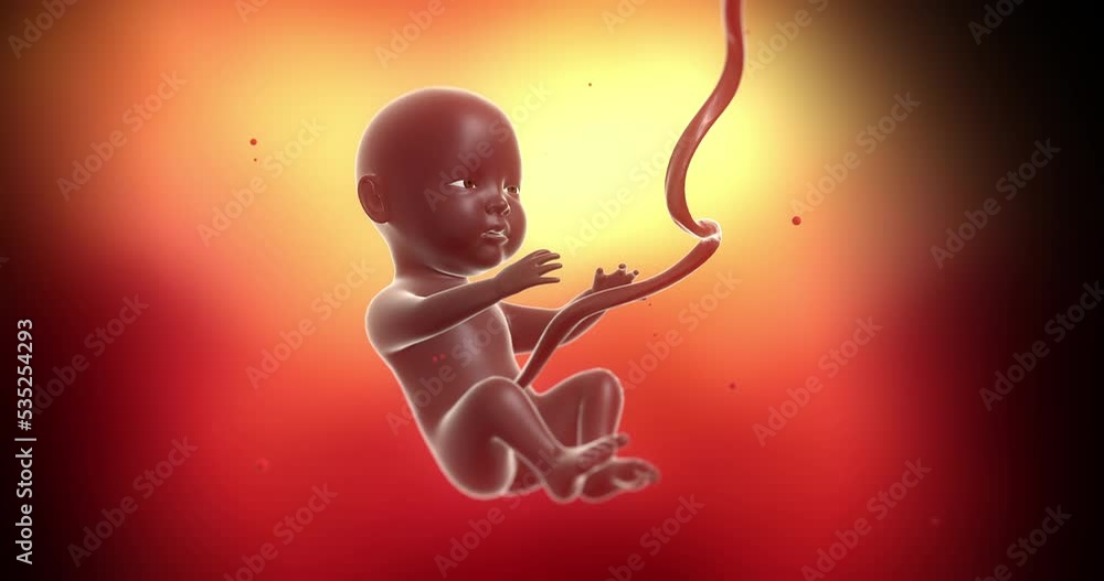 Un unborn black baby that develops and grows inside the uterus. Awake ...