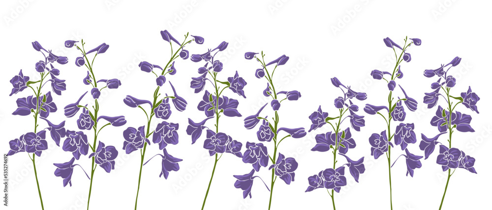 blue larkspur flowers, vector drawing wild plants at white background ...