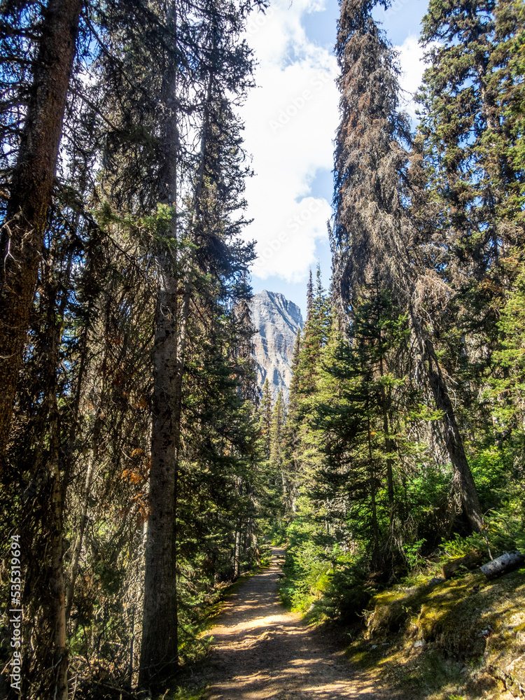 Hiking to Lake Annette in Banff National Park, passing forests and ...