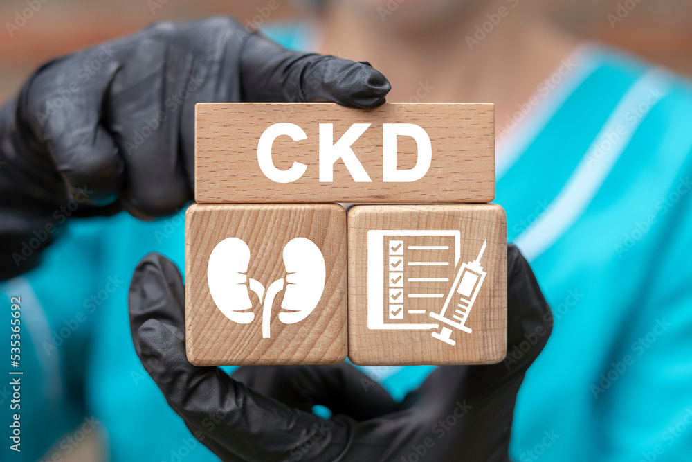 Doctor holding wooden blocks with medical icons and abbreviation: CKD ...