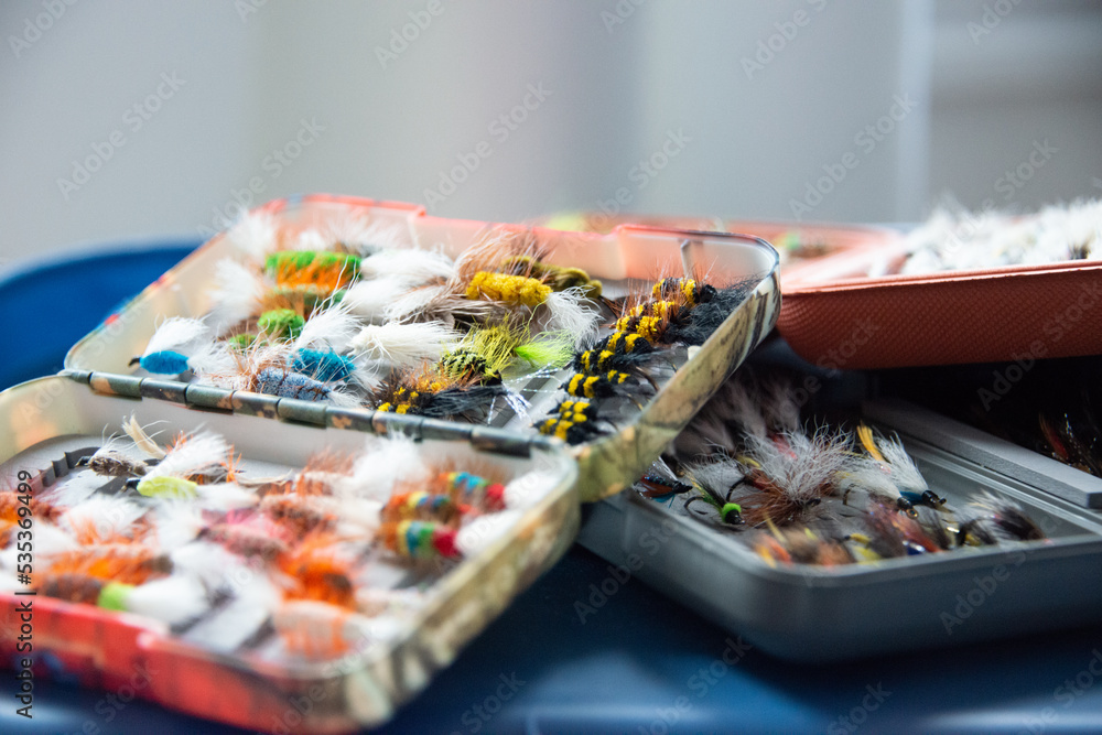 Multiple colorful salmon flies in plastic fly boxes. Some flies are ...