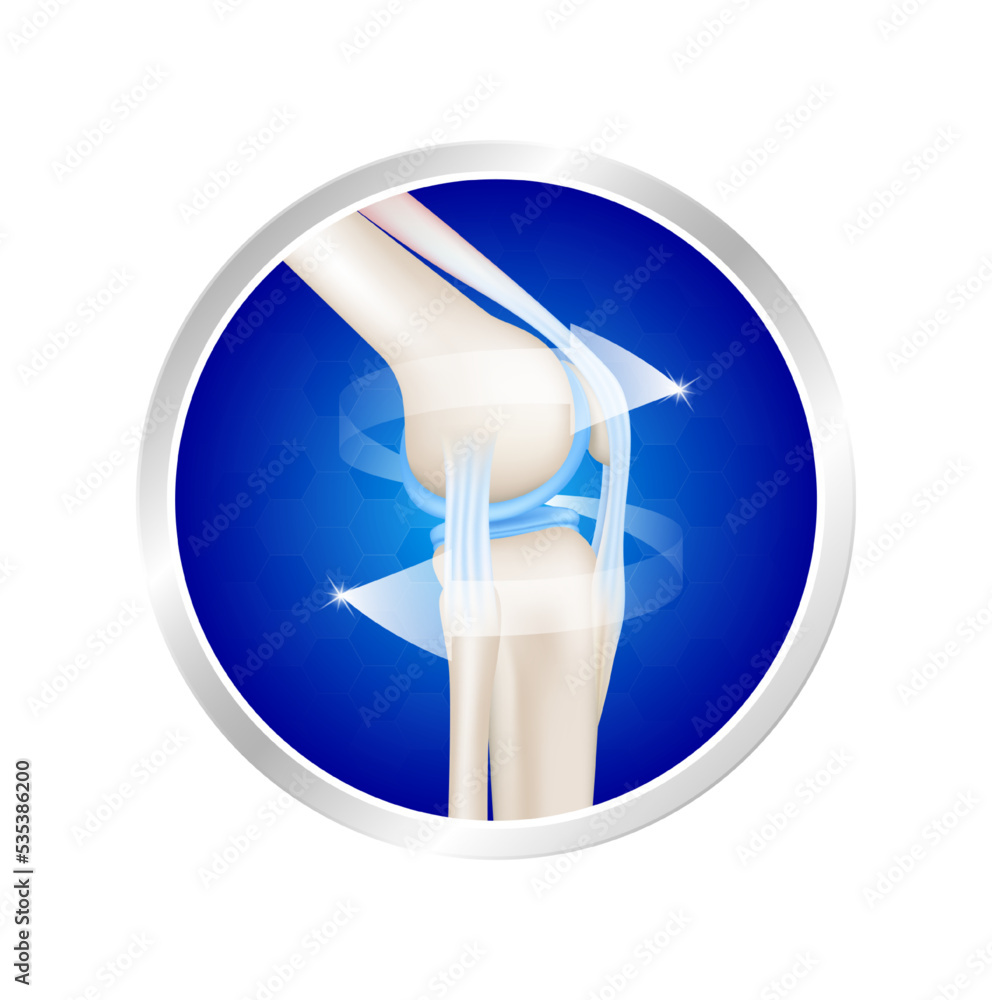 Vetor de Label aluminum bone healthy with arrow around. Leg knee joint ...