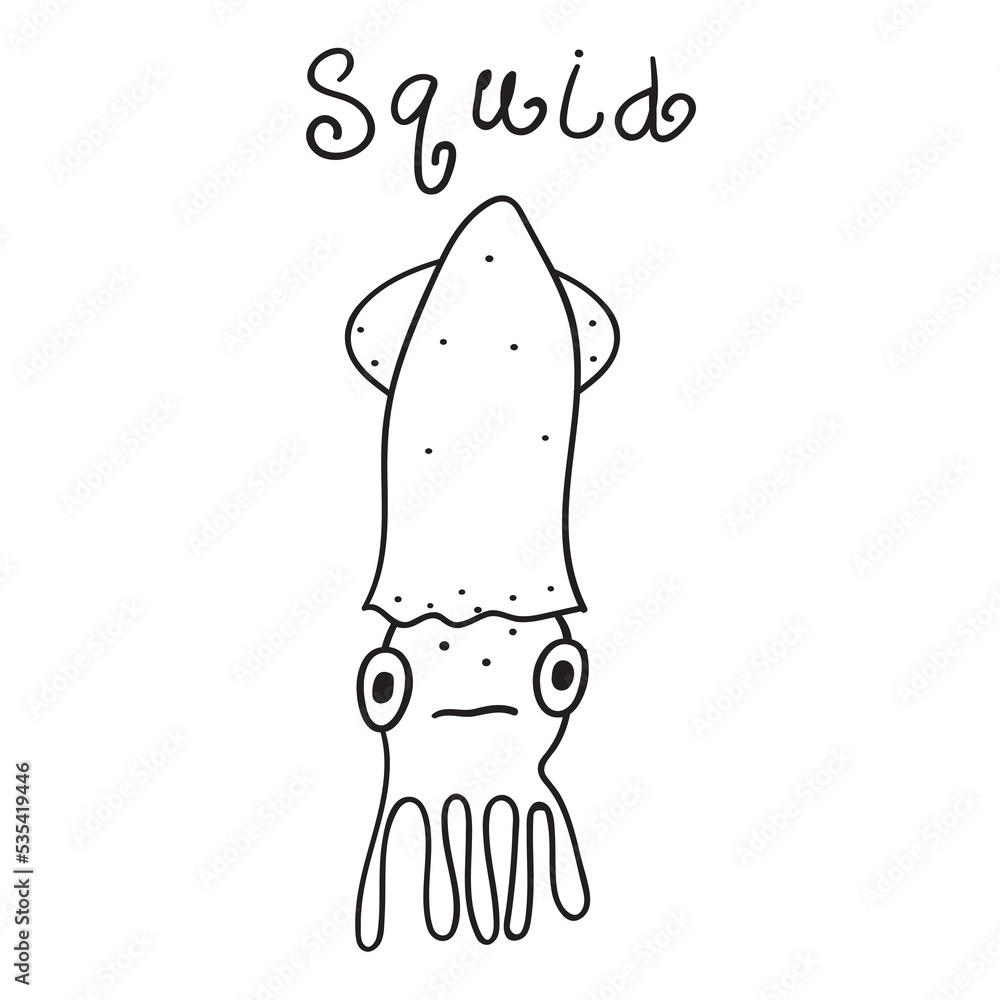 Squid. Vector outline hand drawn illustration. Stock Vector | Adobe Stock