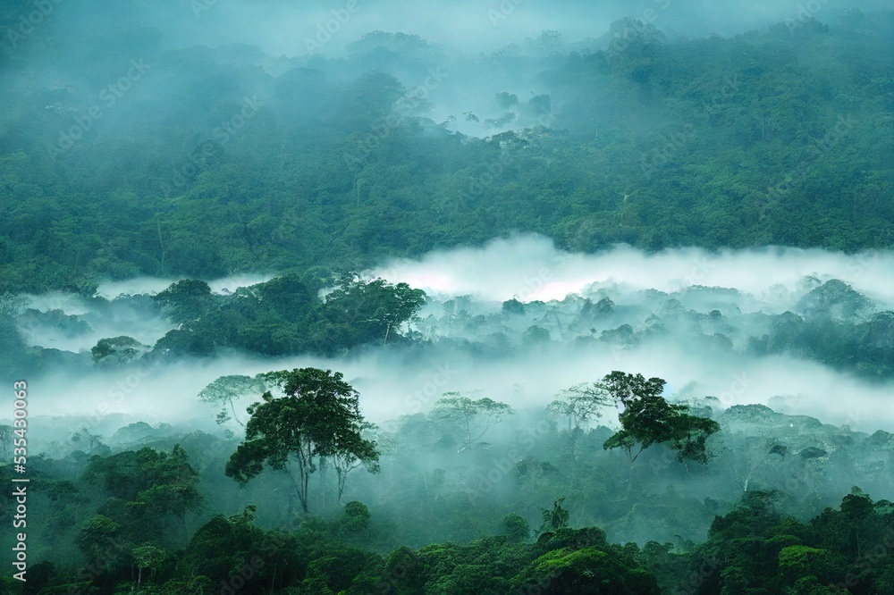 Cloud formation in Brazilian amazon rainforest during monsoon wet ...