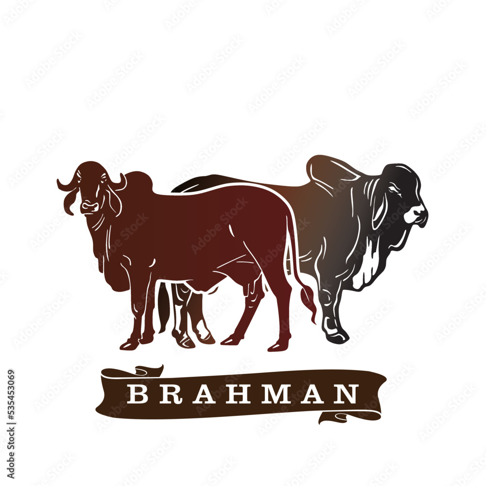 brahman couple cattle logo, silhuoette of red healthy cow standing ...