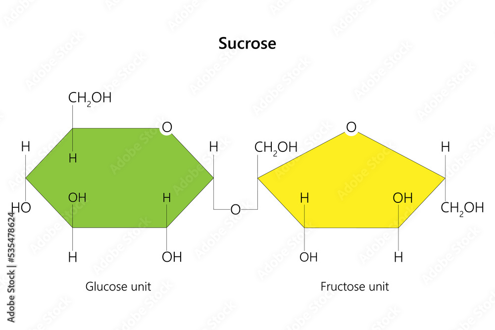 Sucrose, a disaccharide, is a sugar composed of glucose and fructose ...
