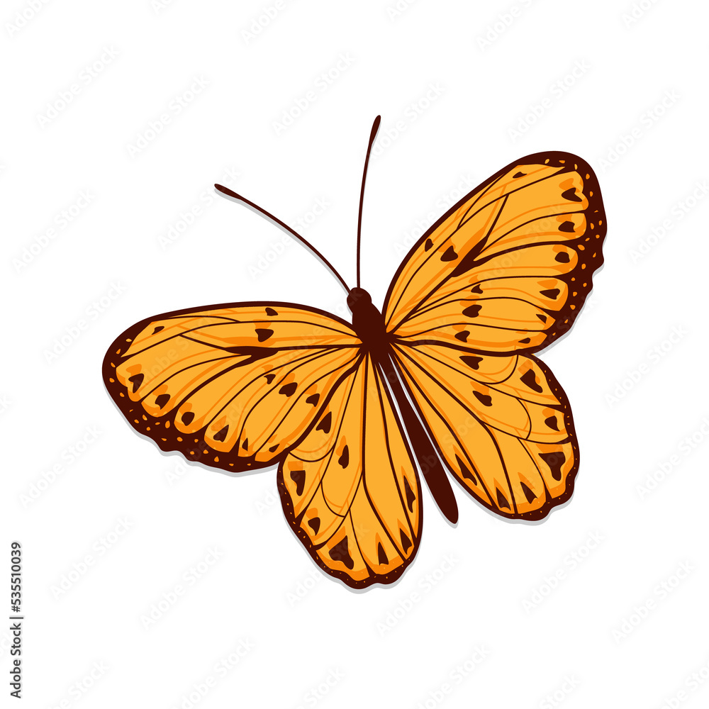 Butterfly isolated on Transparent background Stock Illustration | Adobe ...