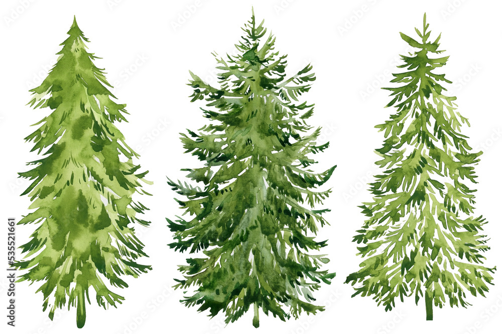 Set watercolor Christmas trees isolated on white background, modern ...