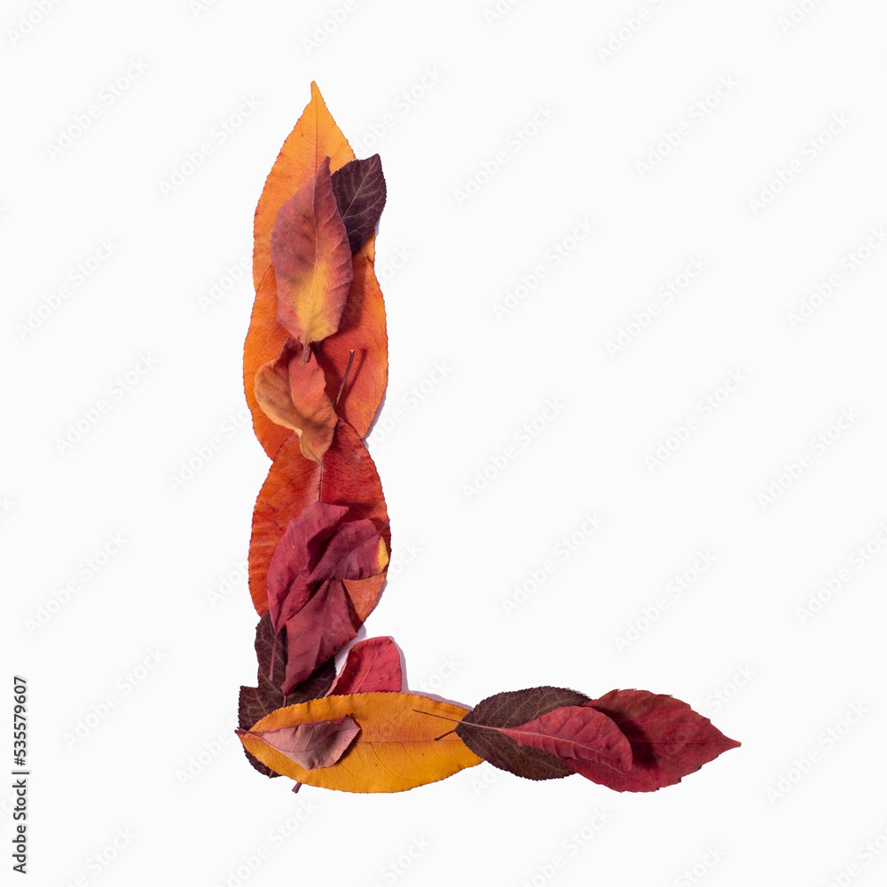 letter L autumn leaves isolate on white background Stock Photo | Adobe ...