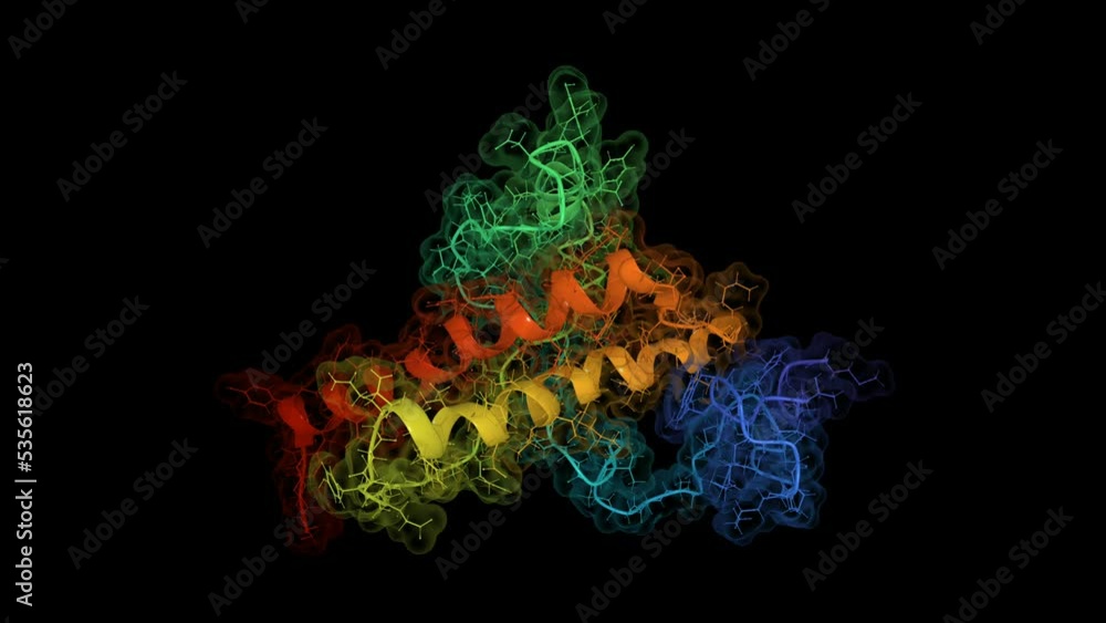 Structure of the pathogenic mutant of human prion protein. Stock Video ...