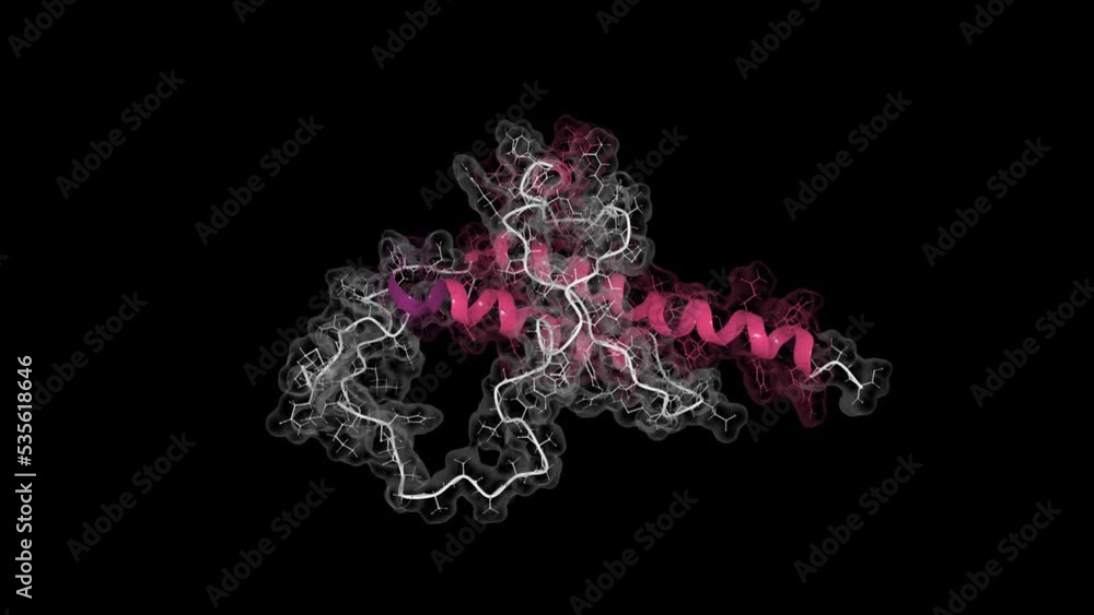 Structure of the pathogenic mutant of human prion protein. Stock Video ...