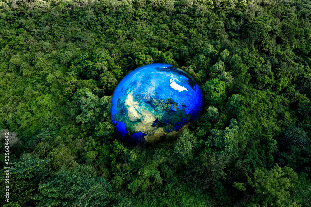 aerial view of the green forest with the earth Demonstrate the concept ...