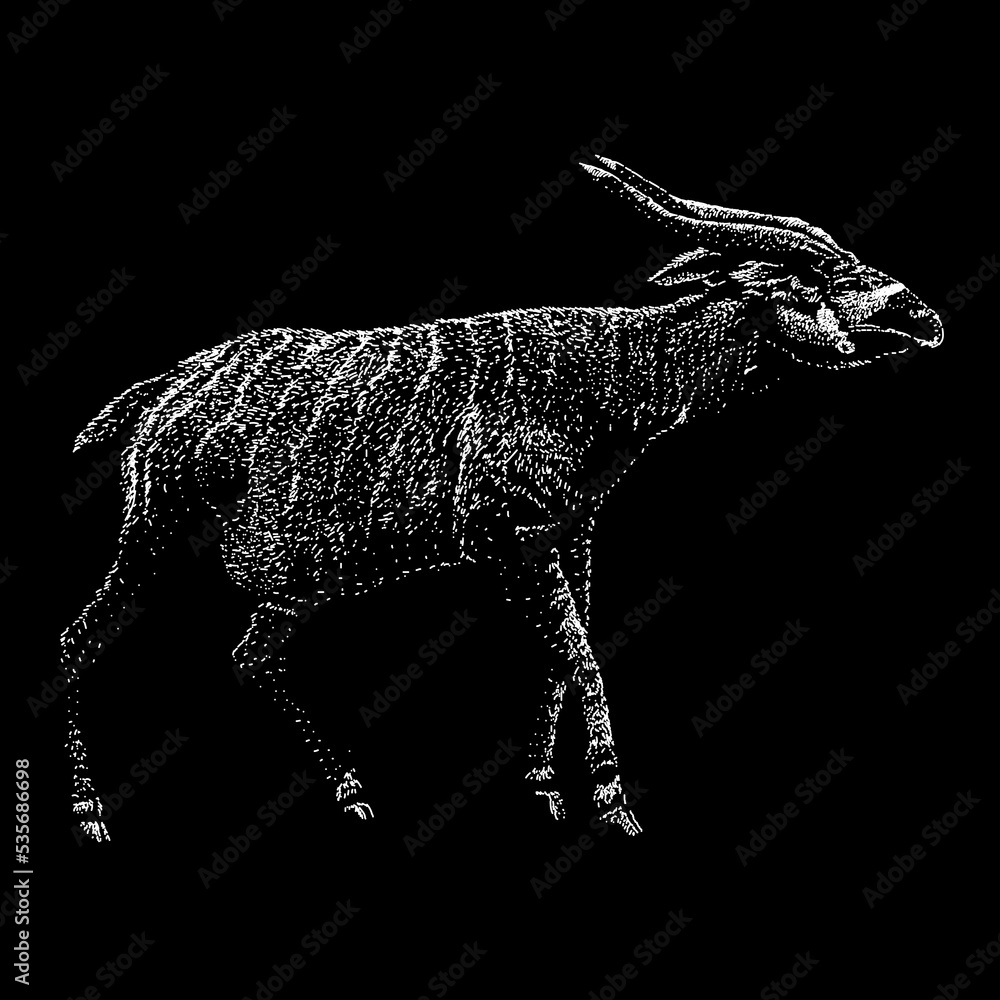 Saola hand drawing. Vector illustration isolated on black background ...