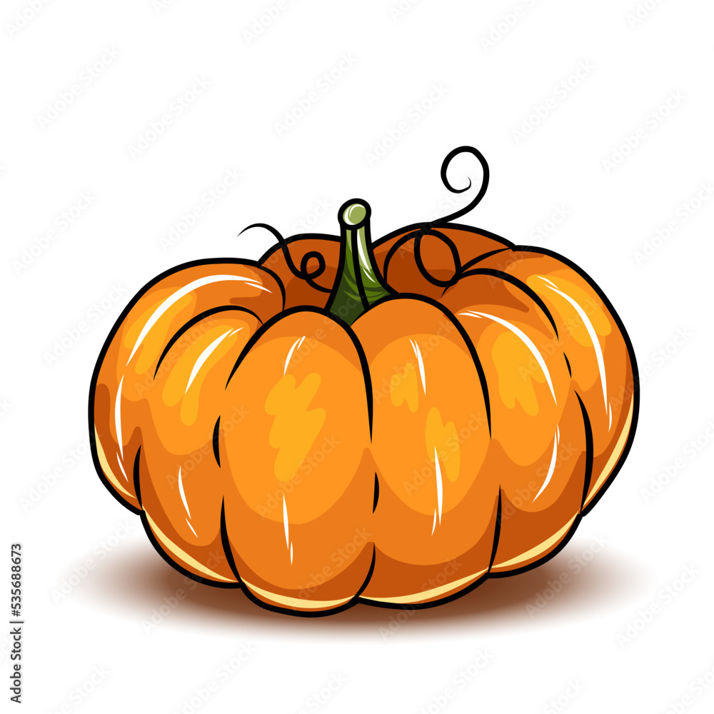 Orange pumpkin, different types of Cartoon pumpkins. halloween, fall ...